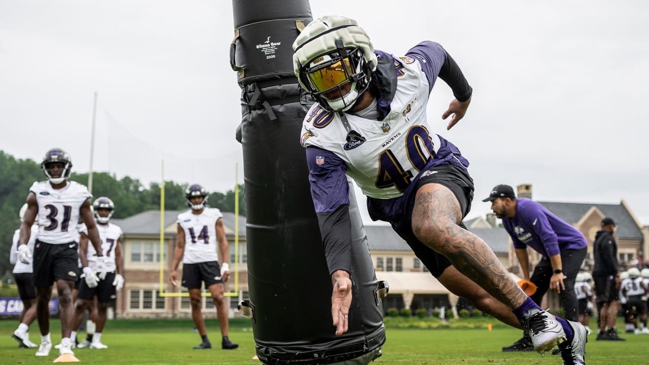 Ravens Training Camp Competition: Inside Linebacker