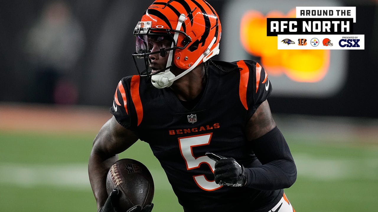 Tee Higgins Expects to Play for Bengals in 2024 | Around the AFC North