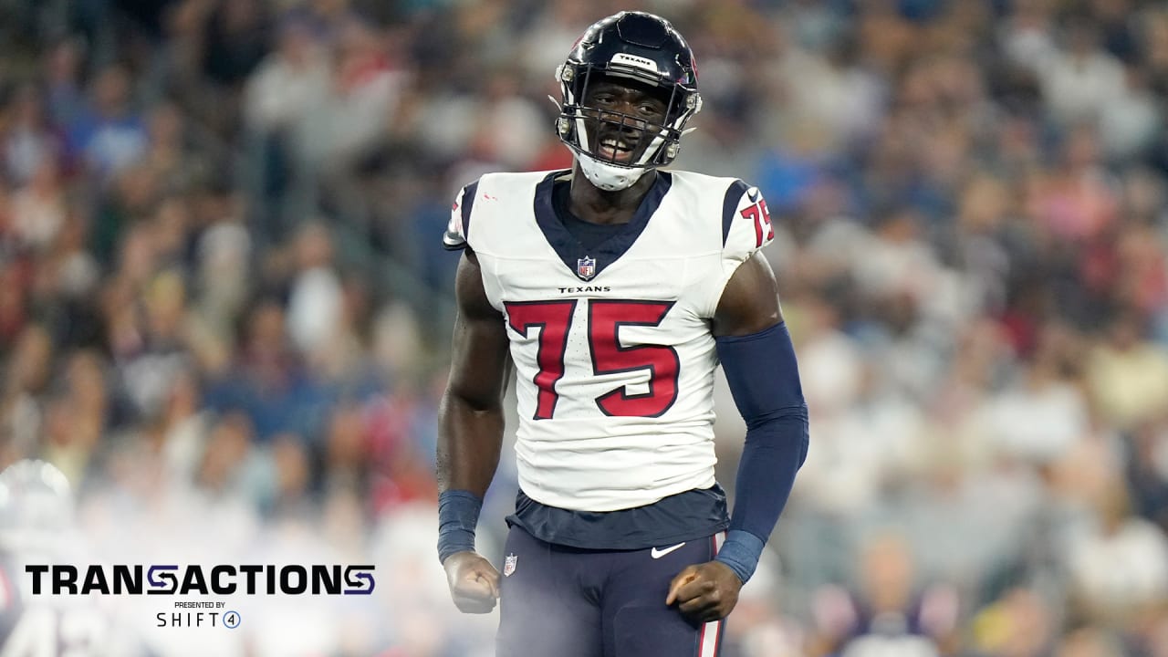 Ravens Sign International Player Adedayo Odeleye to Practice Squad