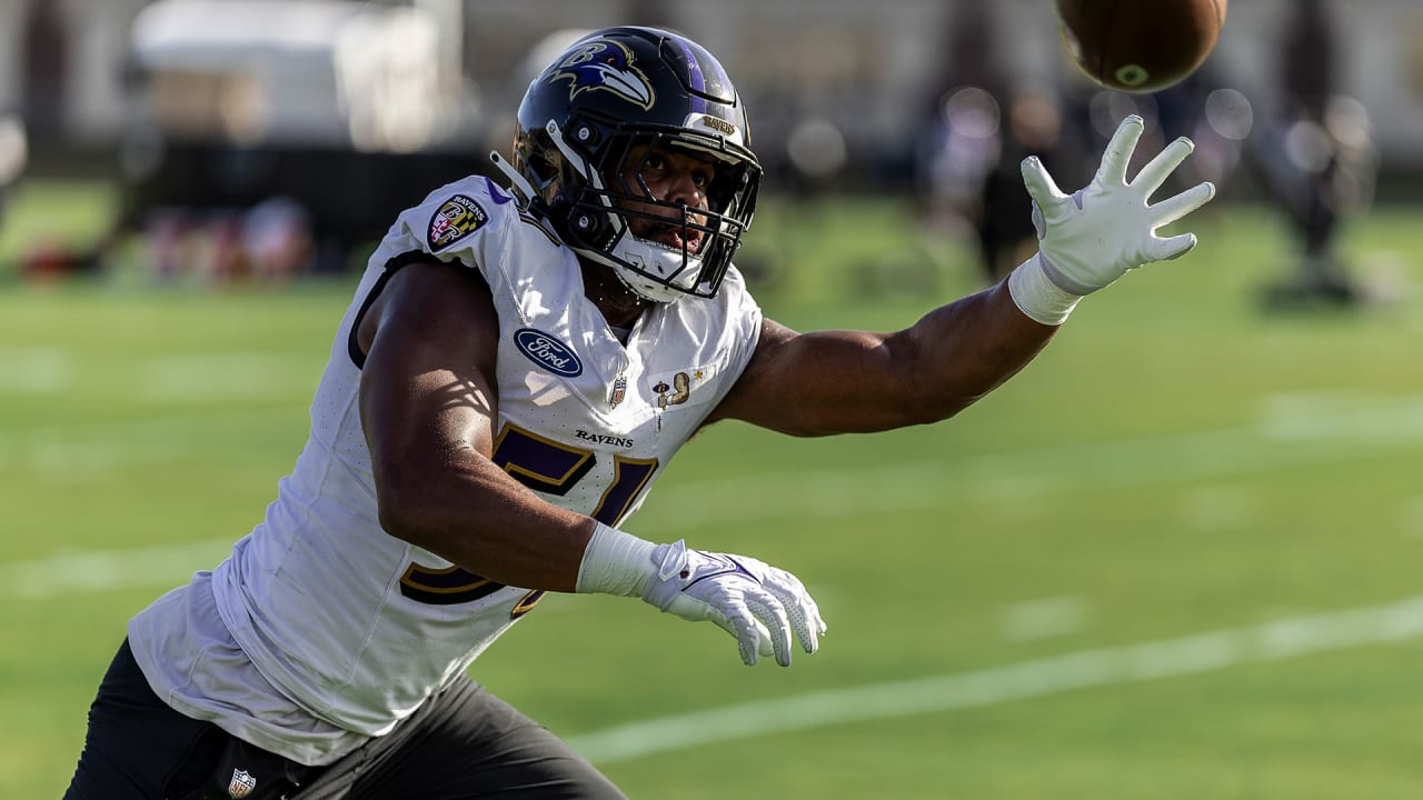 Ravens Sign Nine Players to Reserve/Future Deals