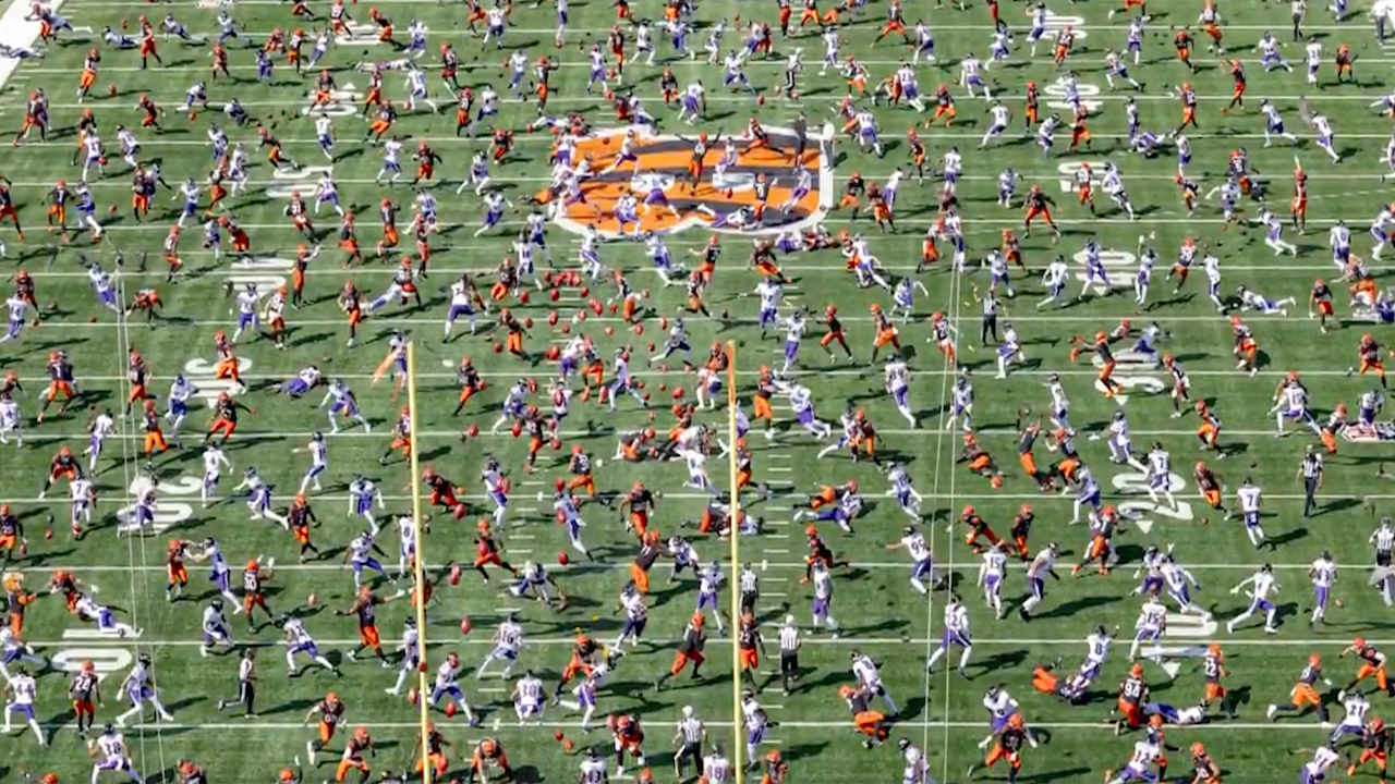 Two Ravens Wins Have Been Turned Into Amazing Art