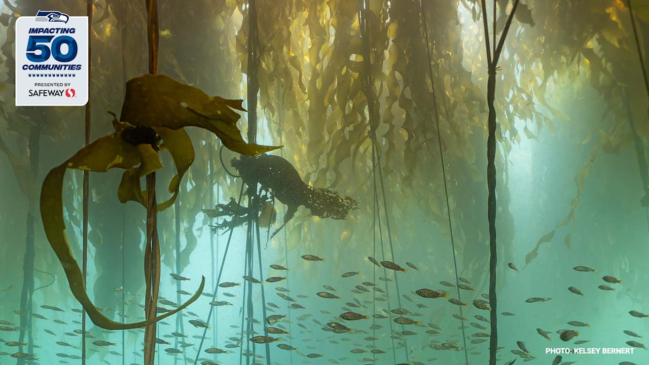 Puget Sound Restoration Fund Announces Community Support from the ...