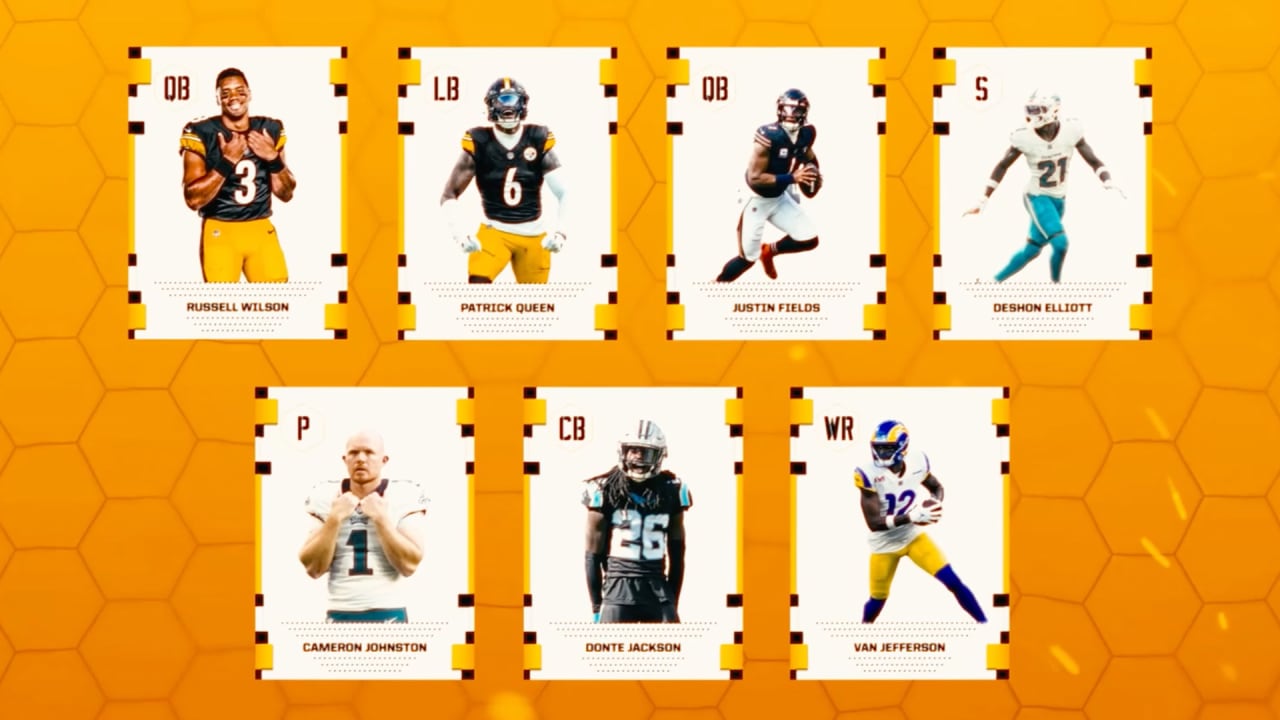 WATCH: Meet the newest Steelers