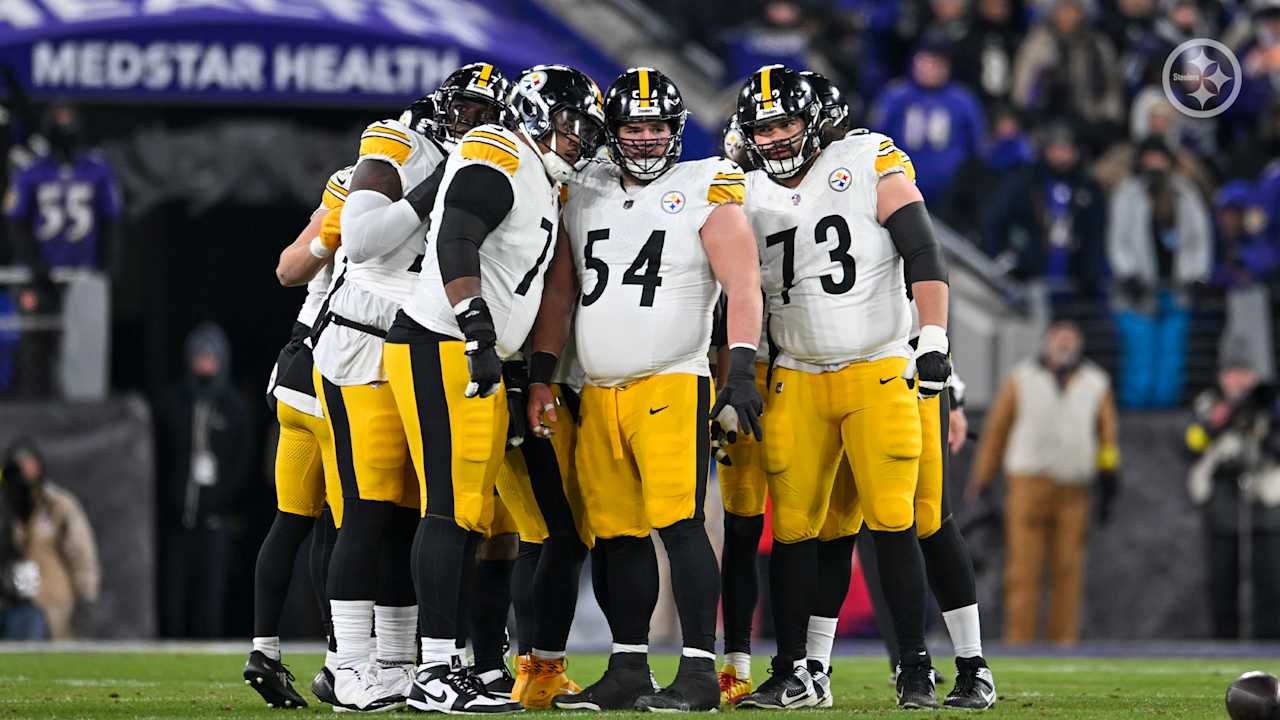 The pittsburgh steelers store