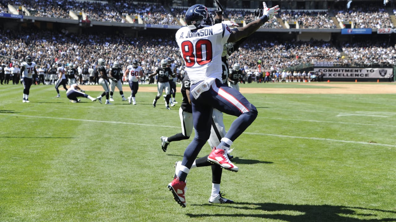 Andre Johnson On The Field