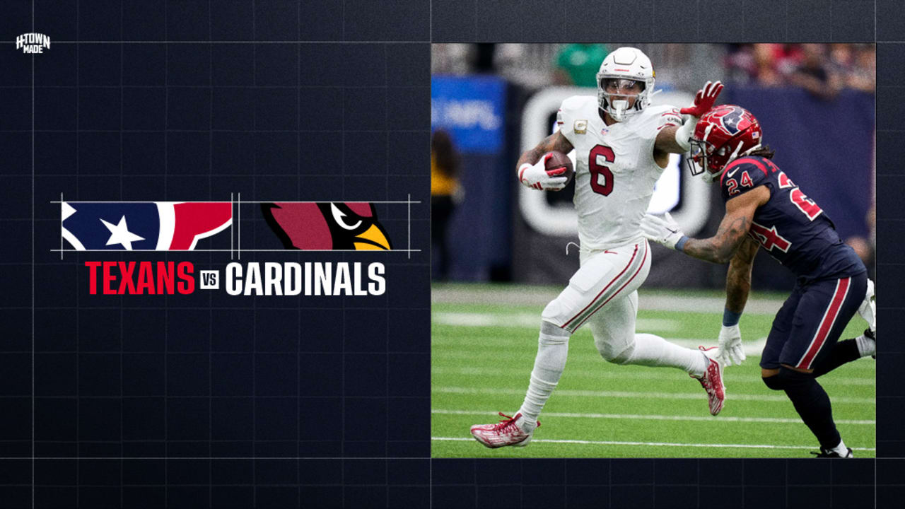 A Defensive Sting | Week 11 vs. Arizona Cardinals