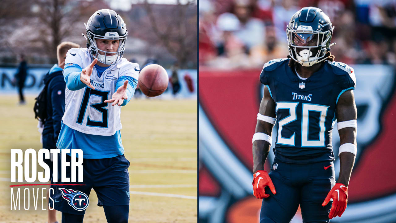 Titans Add Punter Ty Zentner, RB Jonathan Ward to Team's 53-Man Roster