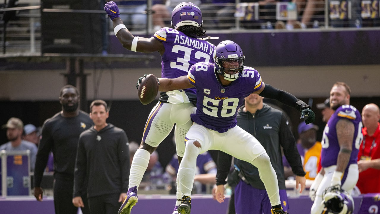 2023 Vikings Position Recap: Inside Linebackers