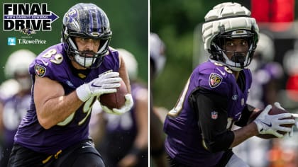 Ed Reed Career Highlights - American sports