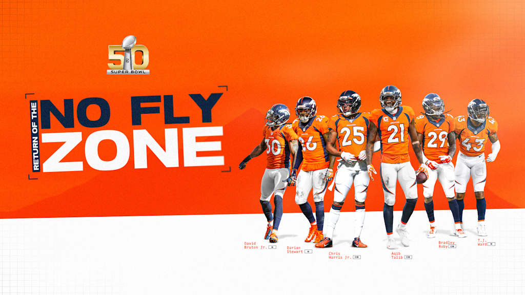 No Fly Zone Logo