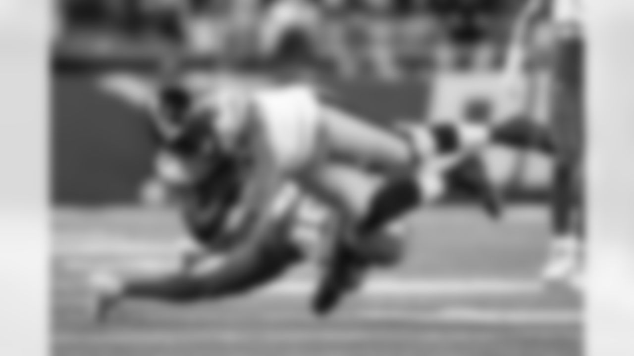 PHOTOS: Karl's top pics - Steelers at Lions