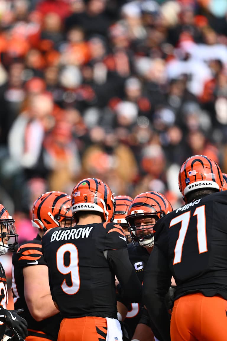 Bengals Score New England Patriots Clinch Playoff Berth After Win Over